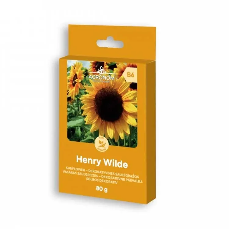 Słonecznik Henry Wilde Big Pack 80g - Theseedstore.pl